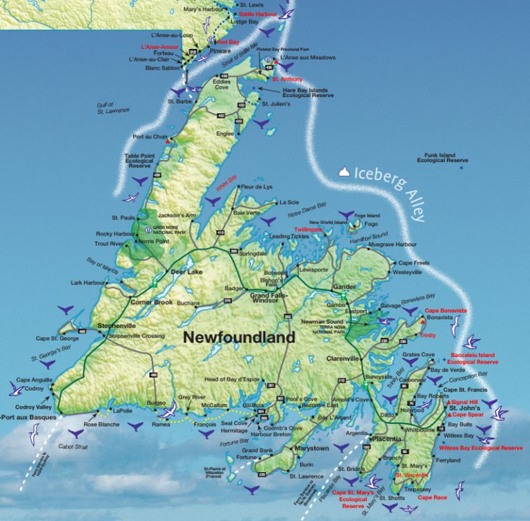 Terre-Neuve : Top 10 des incontournables à visiter