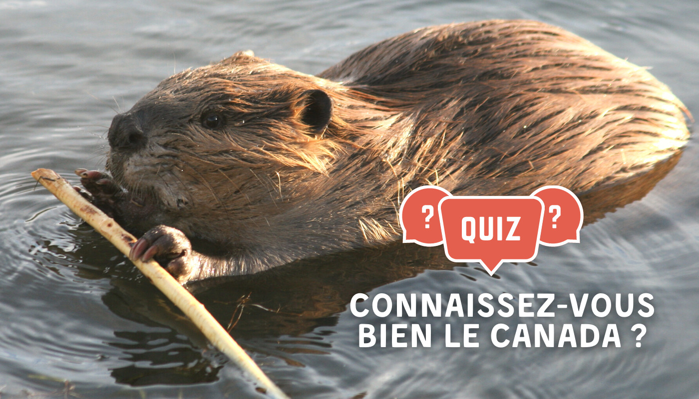 Quizz sur le Canada - Parcours Canada