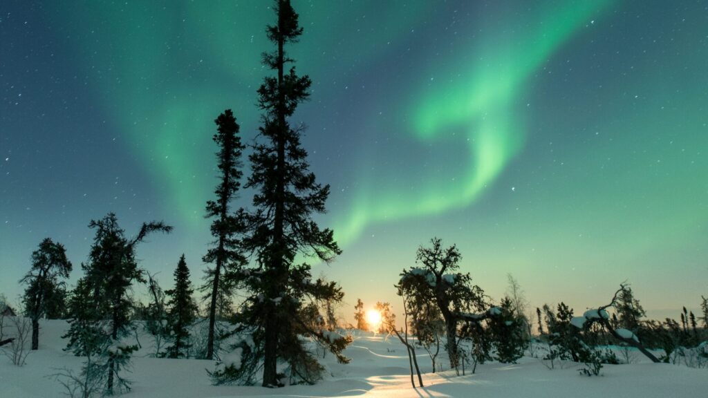 Quiz : Connaissez-vous l'Alberta